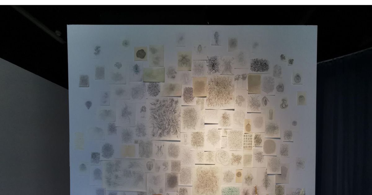 Het vertekende verhaal — Joke Boudens, Sylvie De Meerleer, Els De Roo ...